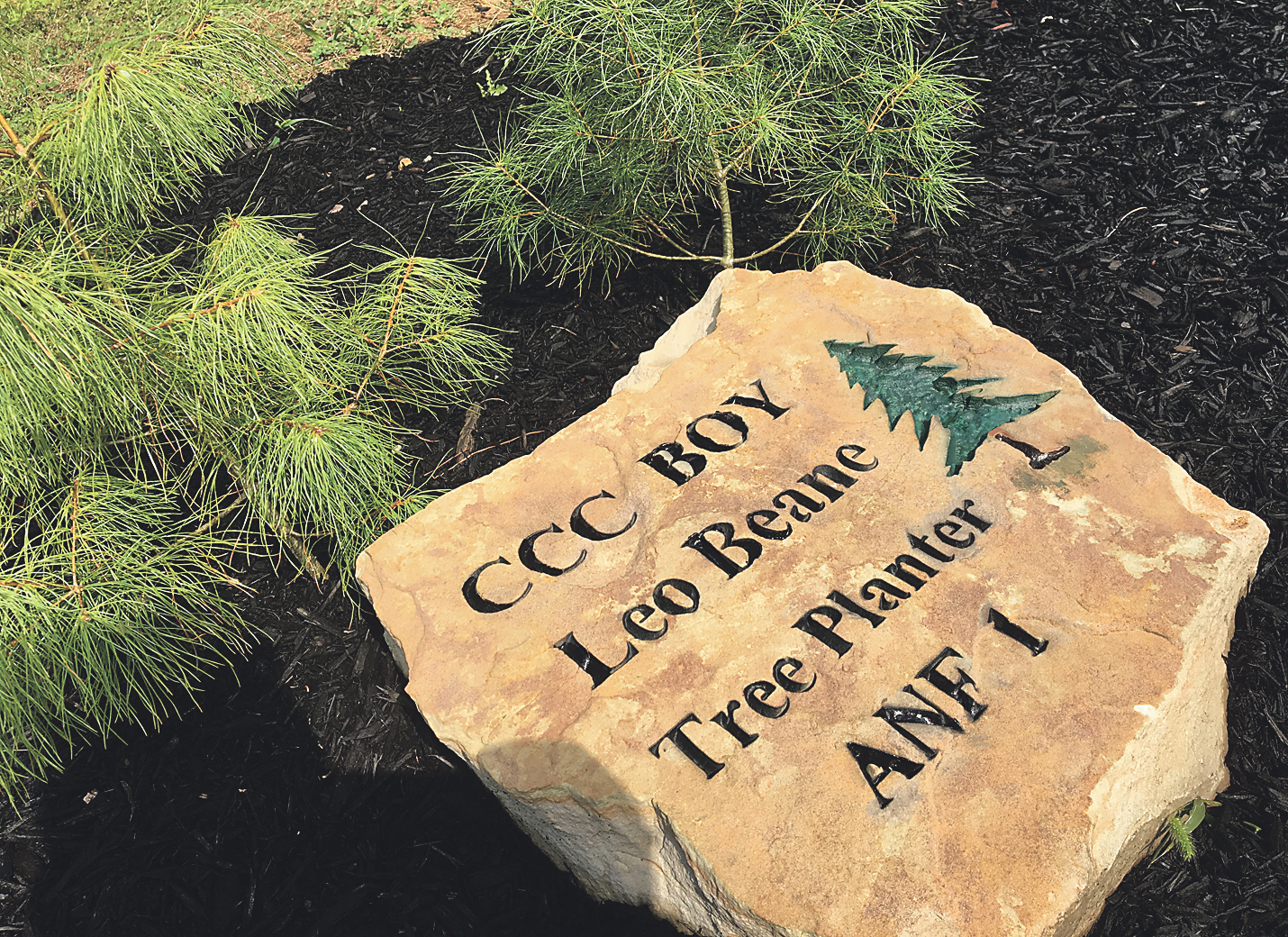 ‘CCC legacy’ | News, Sports, Jobs - Times Observer